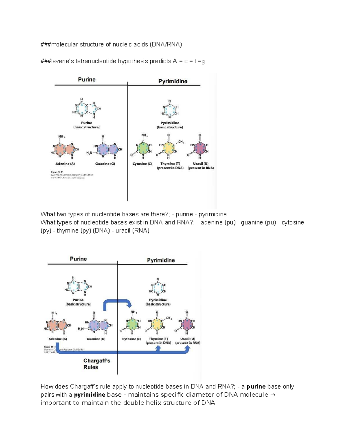 BIOL 207 - Structure and Function of Nucleic Acids: DNA Insights - Studocu