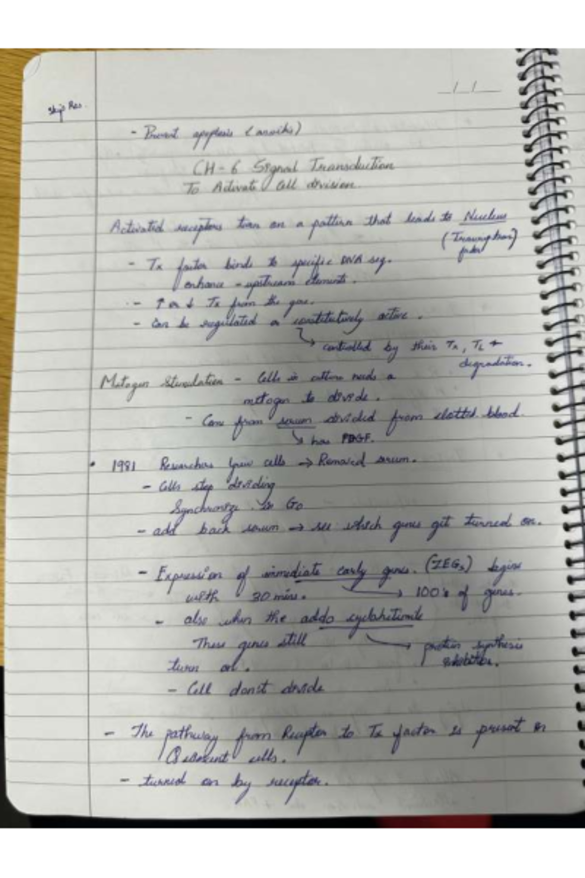 Final Exam Review Guide for MATH101: Key Concepts & Practice Problems ...