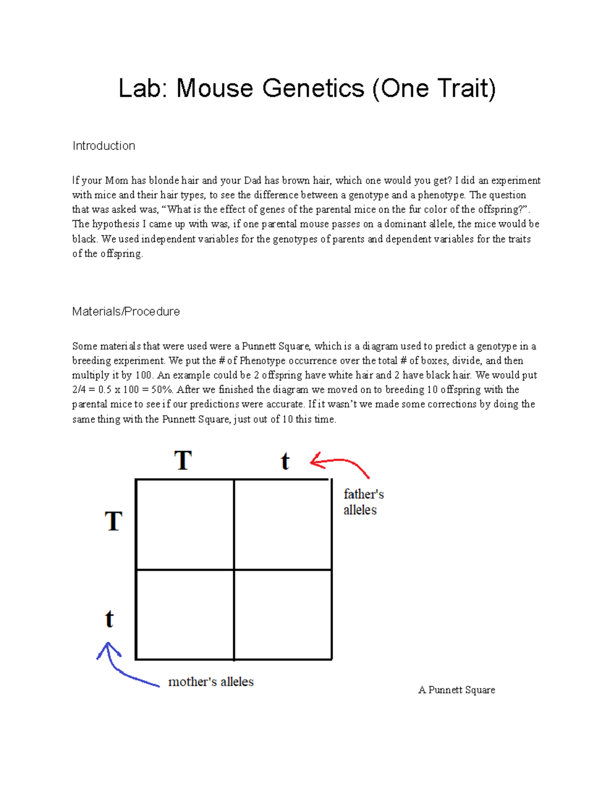 Mouse Genetics (One Trait) Lab Report: Exploring Genotypes & Phenotypes - Studocu