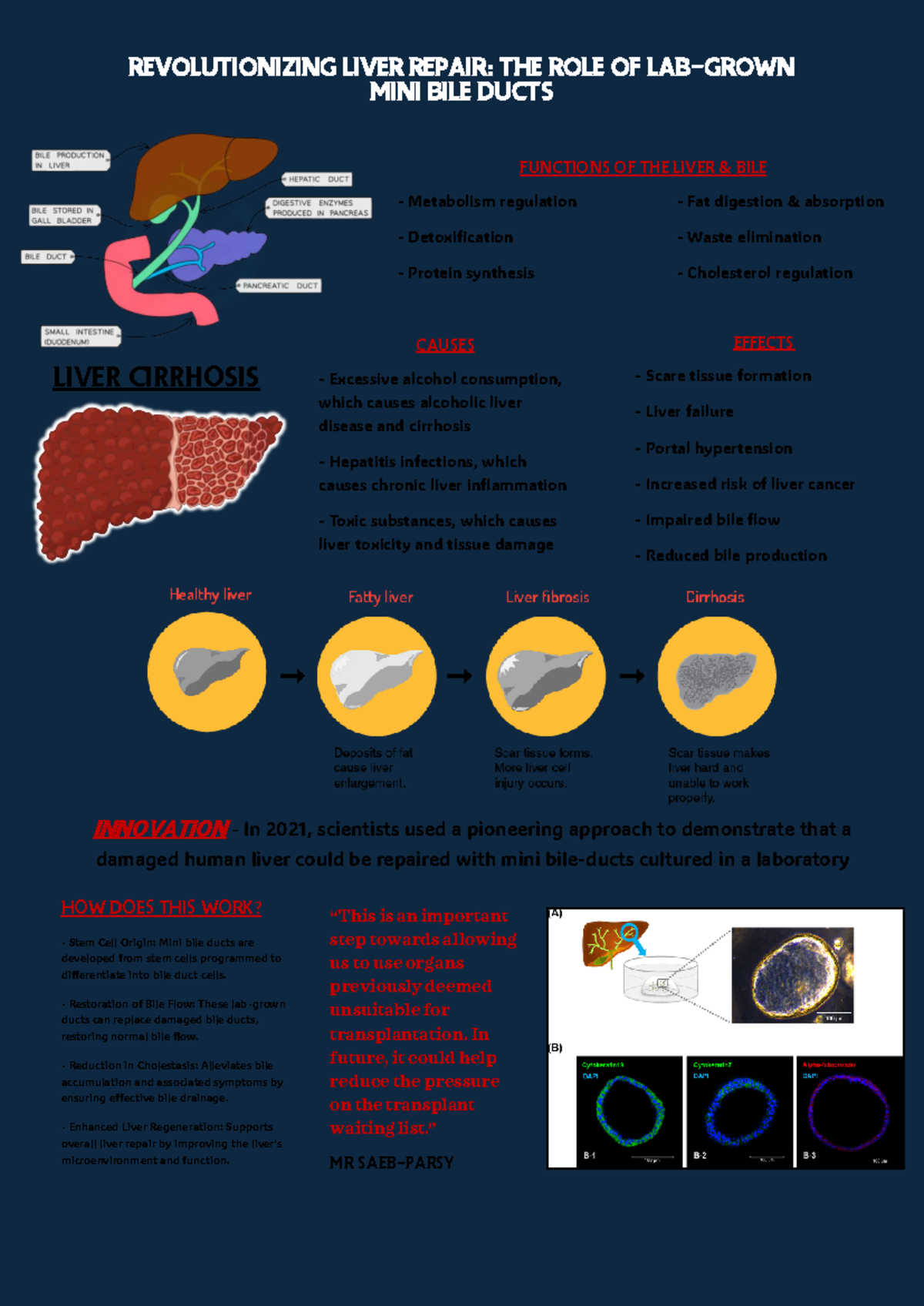 Biol1610 Lecture: Exploring Innovations in Liver Repair with Lab-Grown ...
