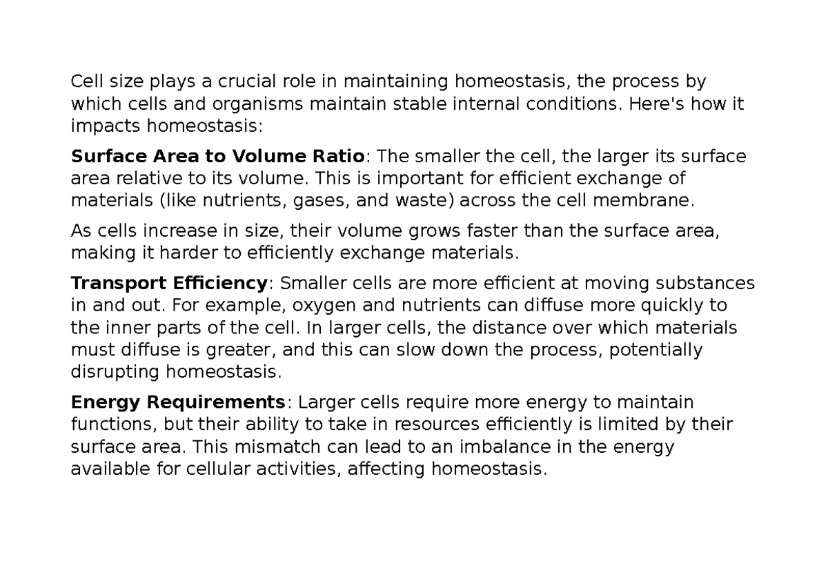 Cell Size and Homeostasis: Impact on Efficiency and Stability - Studocu
