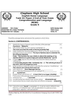 Task 4: Grade 9 Transactional Writing - Diary Entry & Letter ...