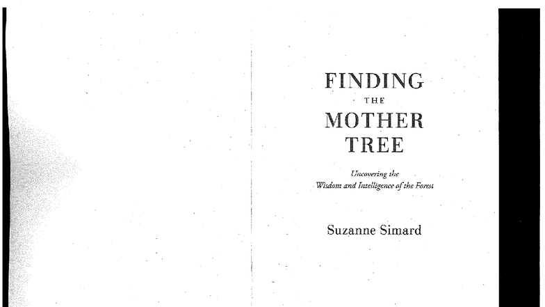 Finding the Mother Tree: Insights into Forest Intelligence and Ecology ...