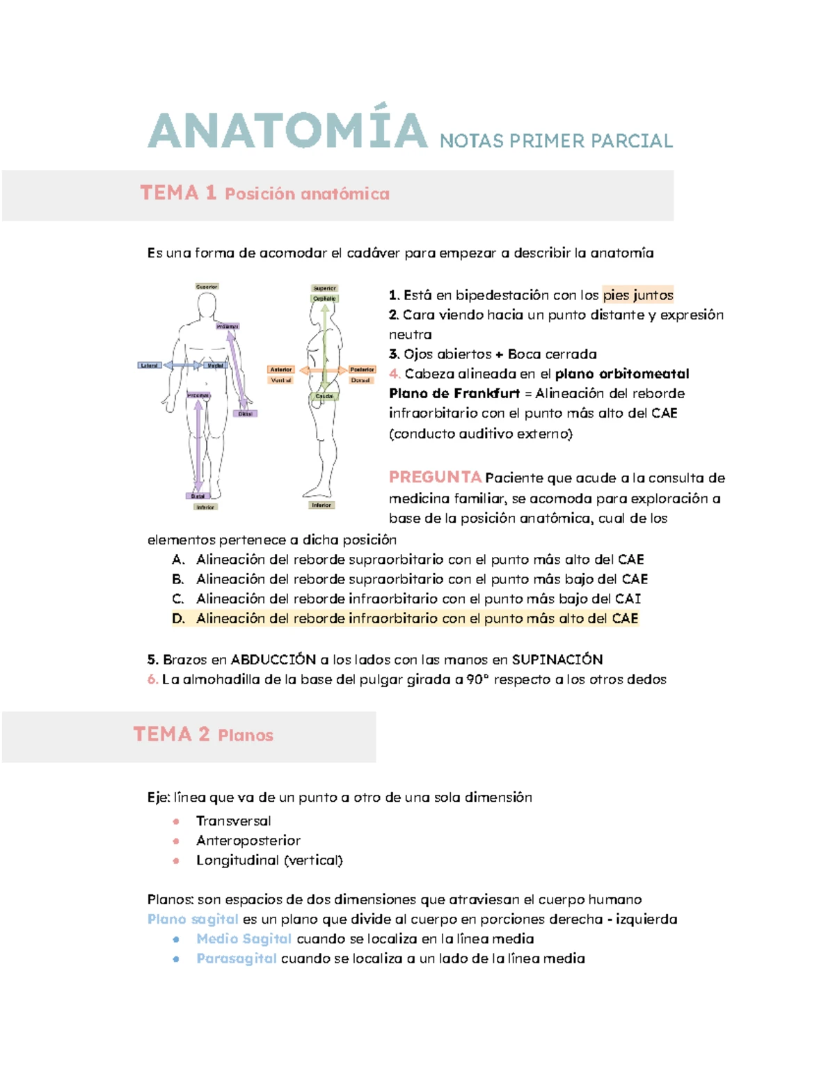 Articulaciones Suturas: Tipos y Ejemplos en Anatomía Dental - Studocu