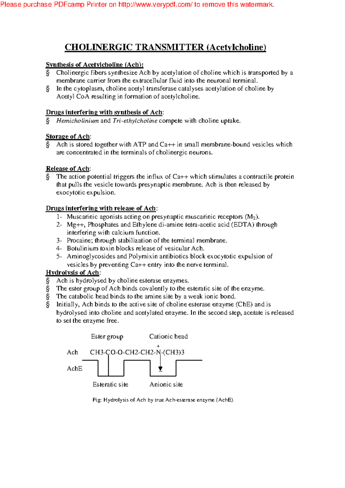 Cholinergic Transmitter (Acetylcholine) - CHOLINERGIC TRANSMITTER ...