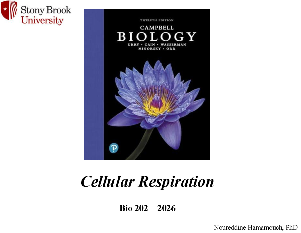 BIO 202 Lec 11&12: Cellular Respiration Overview and Key Concepts - Studocu