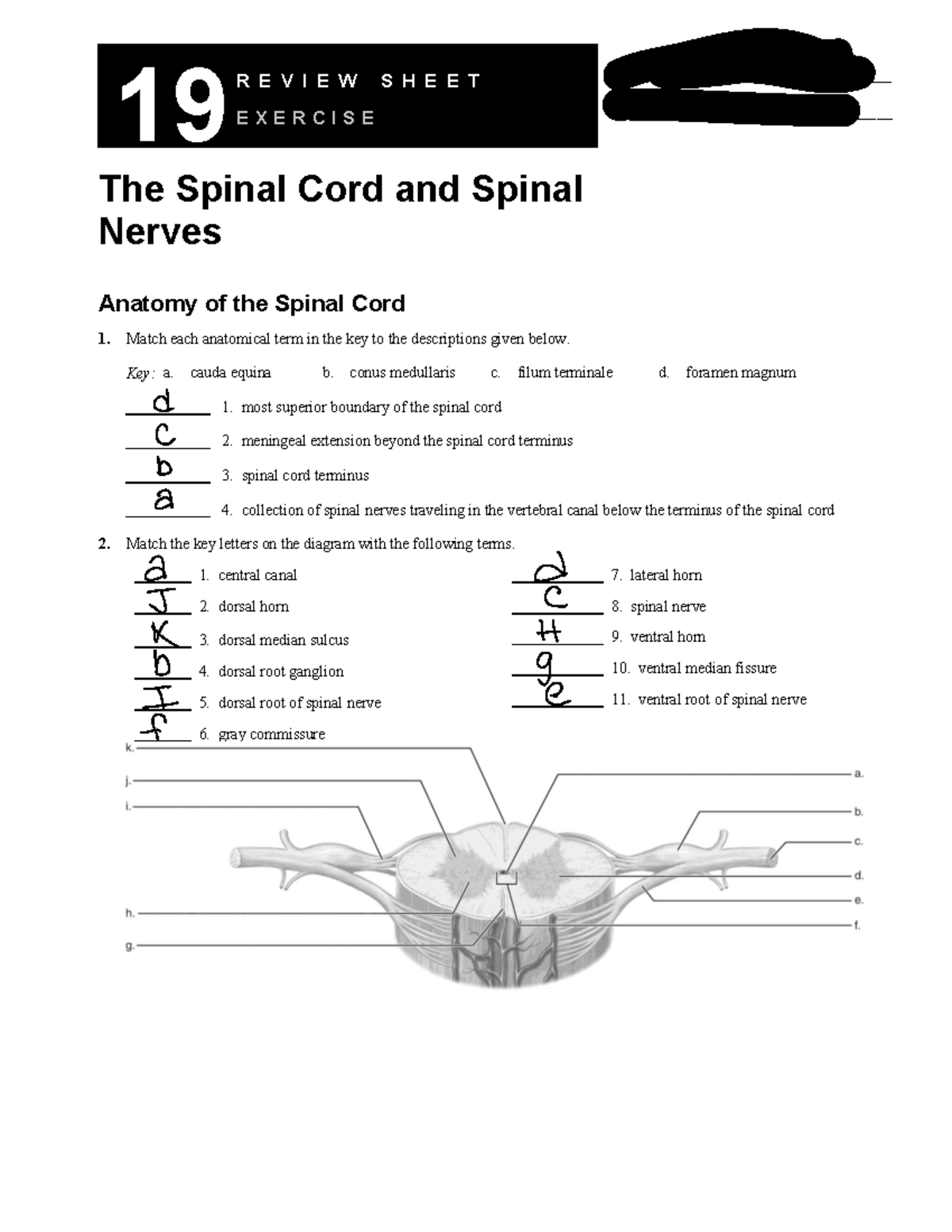 Exercise 19 and 20 worksheet - 19 R E V I E W S H E E T E X E R C I S E ...