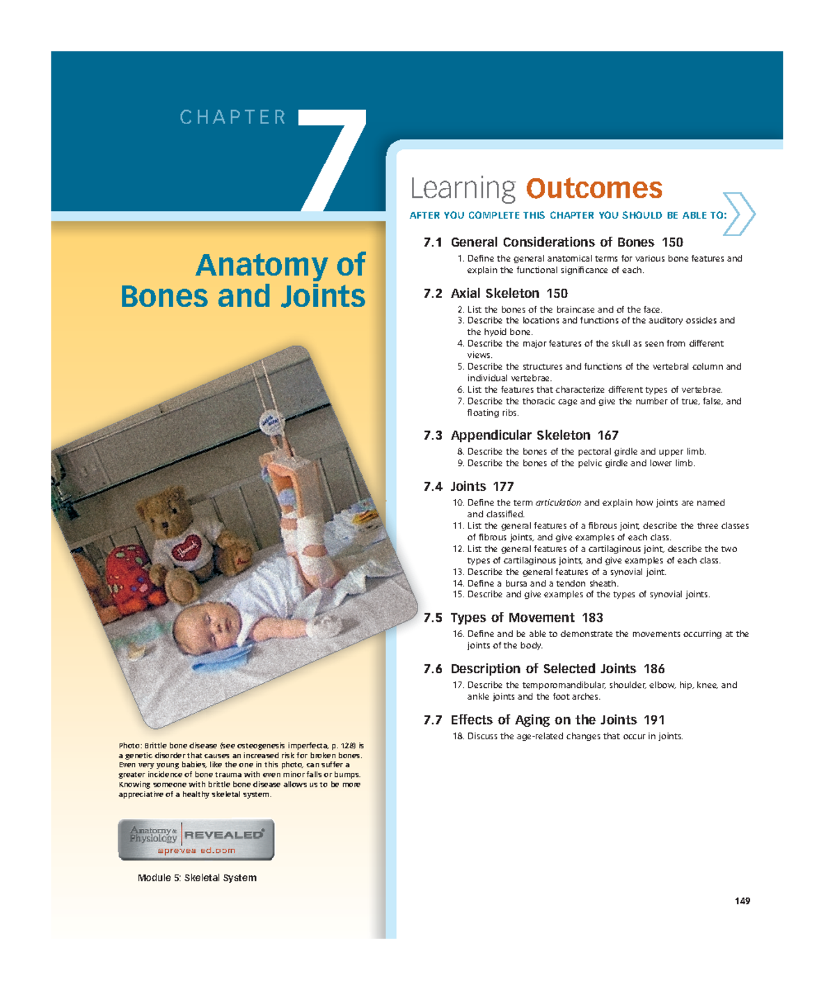 Chapter 7: Anatomy of Bones & Joints (Handout 5) - Studocu