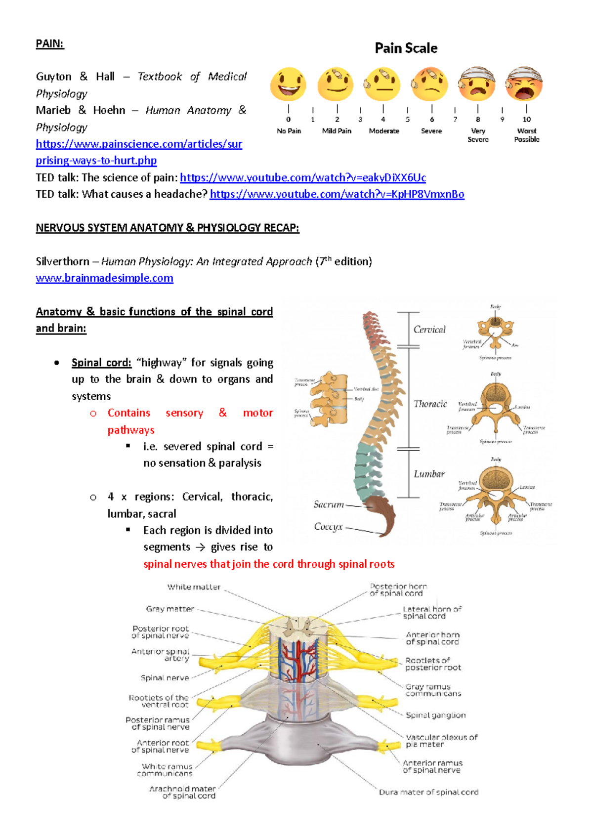 PAIN: Nervous System Anatomy & Physiology Overview - 2023 - Studocu