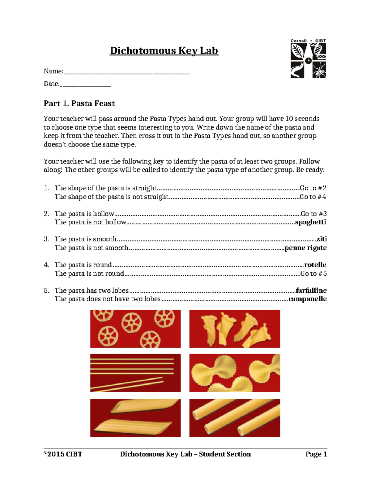 Dichotomous Key Lab Student Handout for Biology Class - Studocu