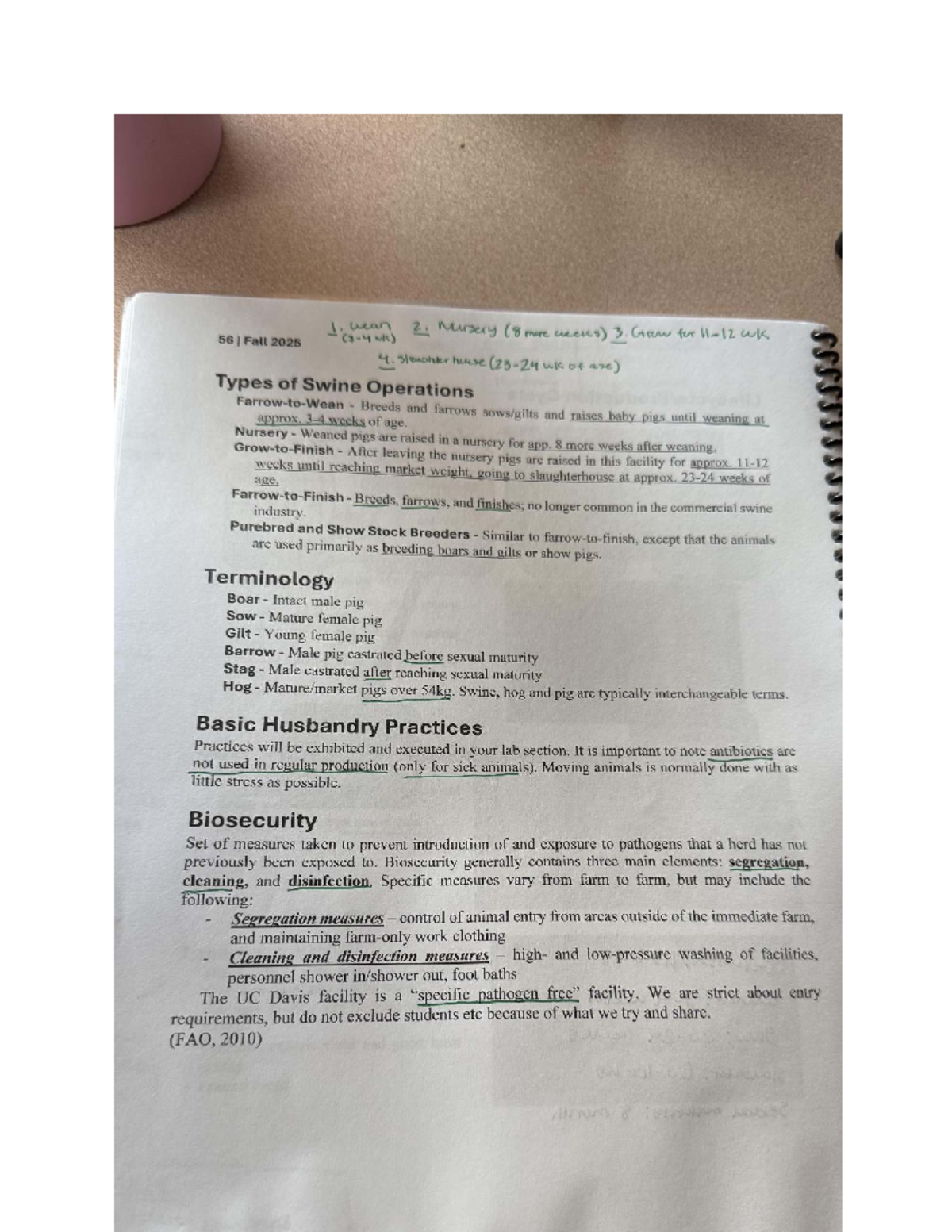 Swine Anatomy and Physiology Overview #3 - Fall 2025 - Studocu