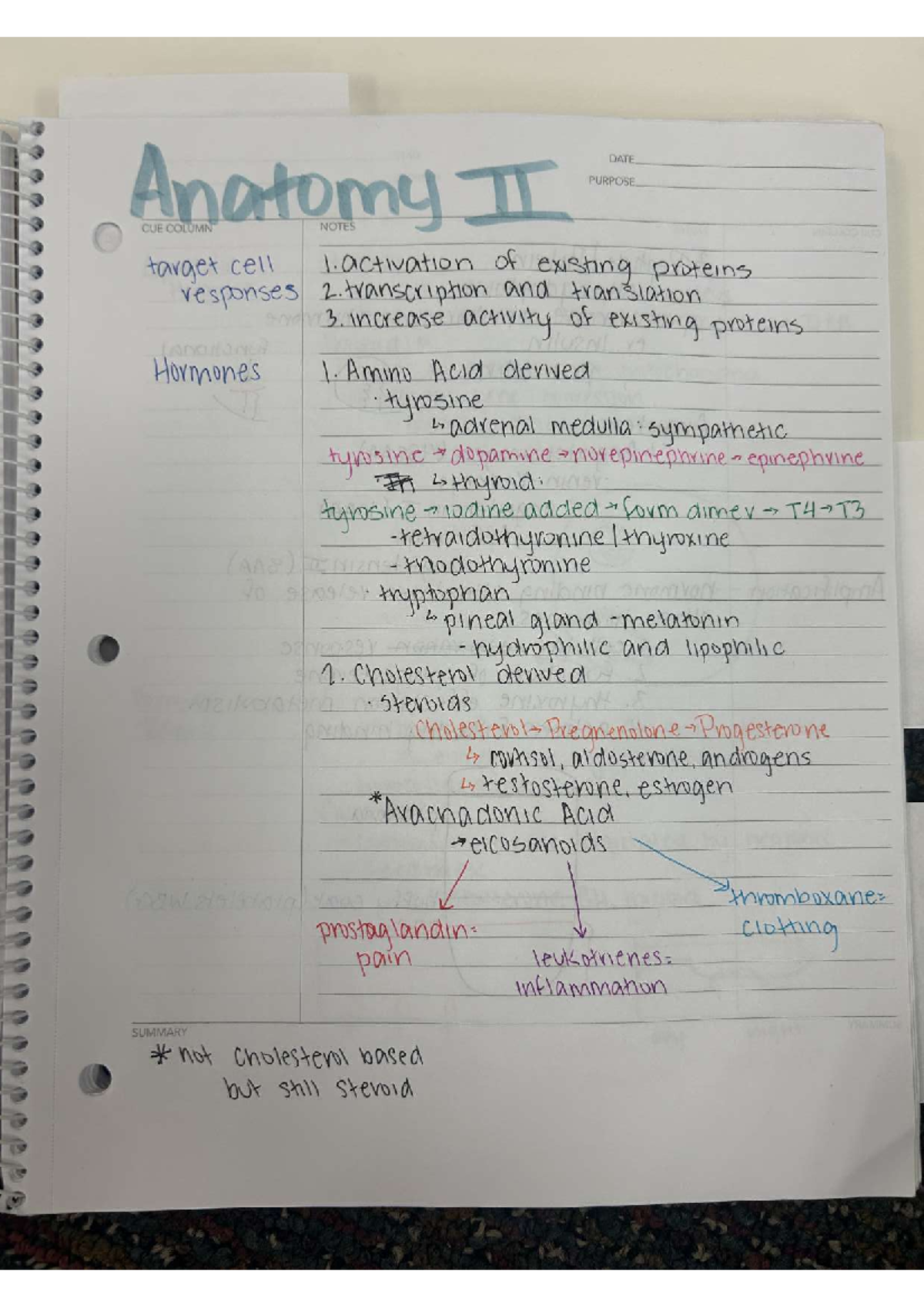 Final Exam Study Guide for CS101: Key Topics and Concepts - Anatomy ...