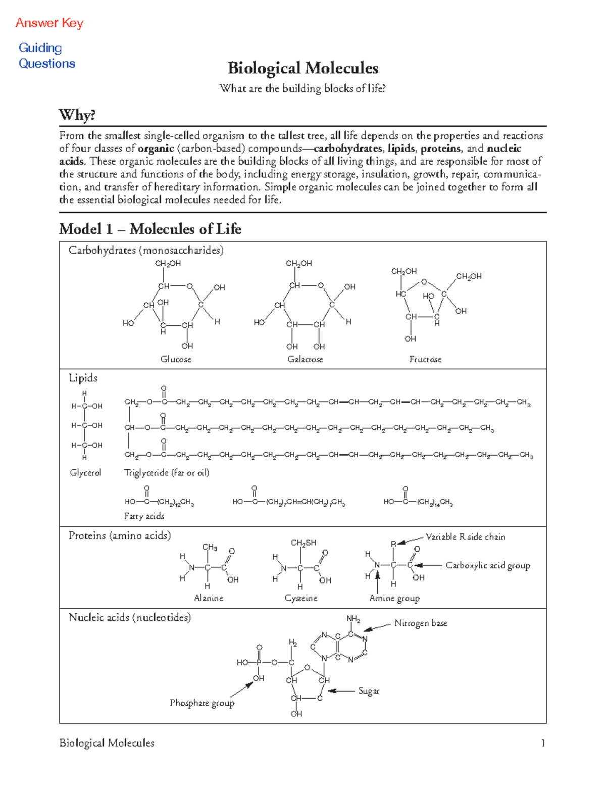 Biological Molecules: Answer Key for Bio 101 Guiding Questions - Studocu