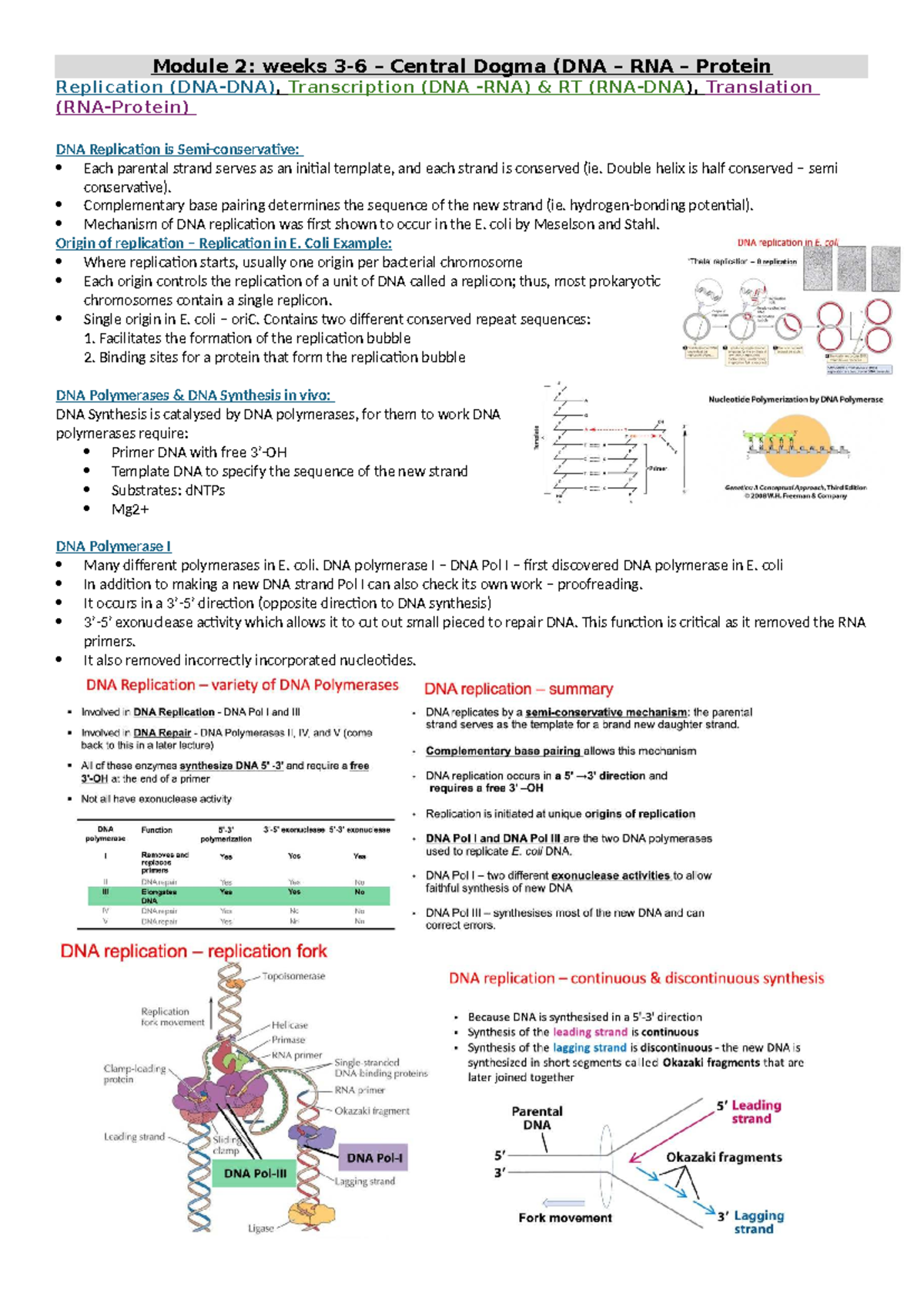 Module 2: Central Dogma Overview - DNA, RNA, and Protein Synthesis ...