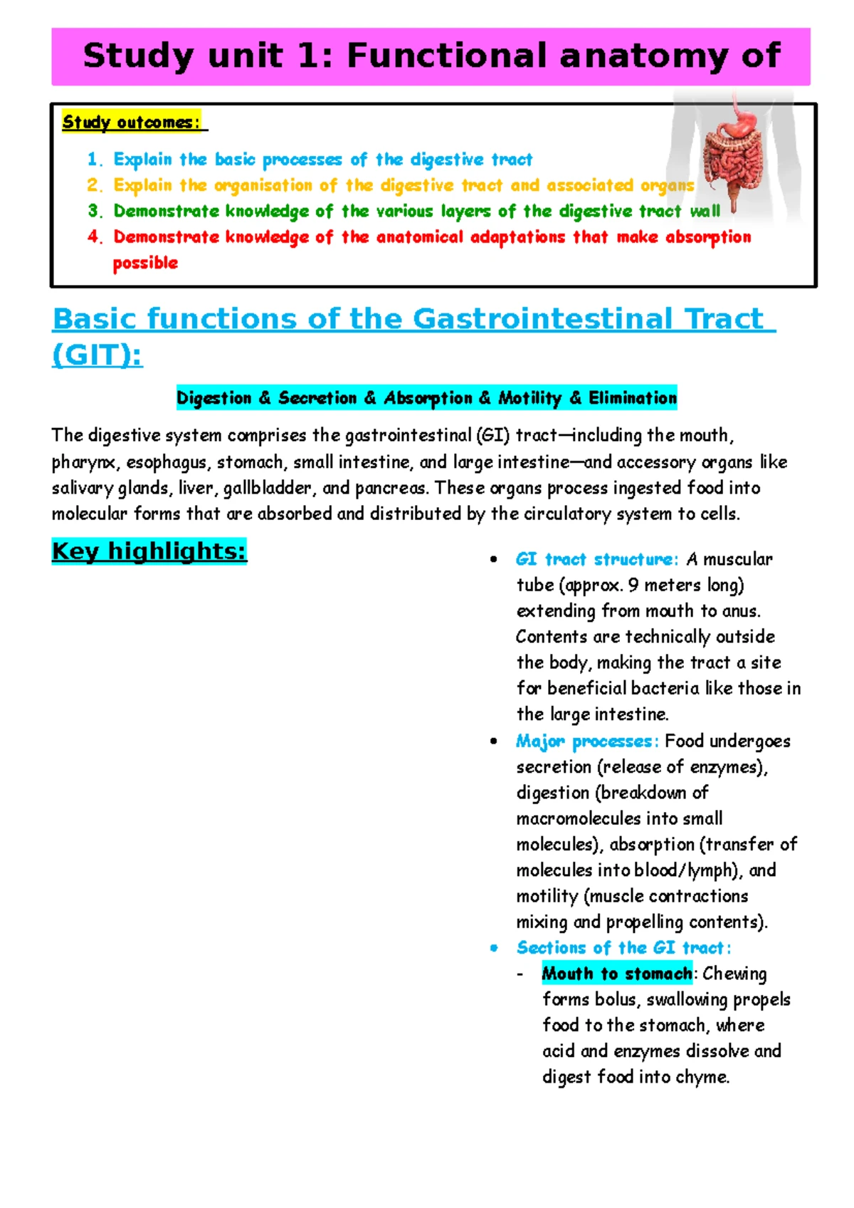 Comprehensive Overview of the Gastrointestinal System (GIT) Functions ...