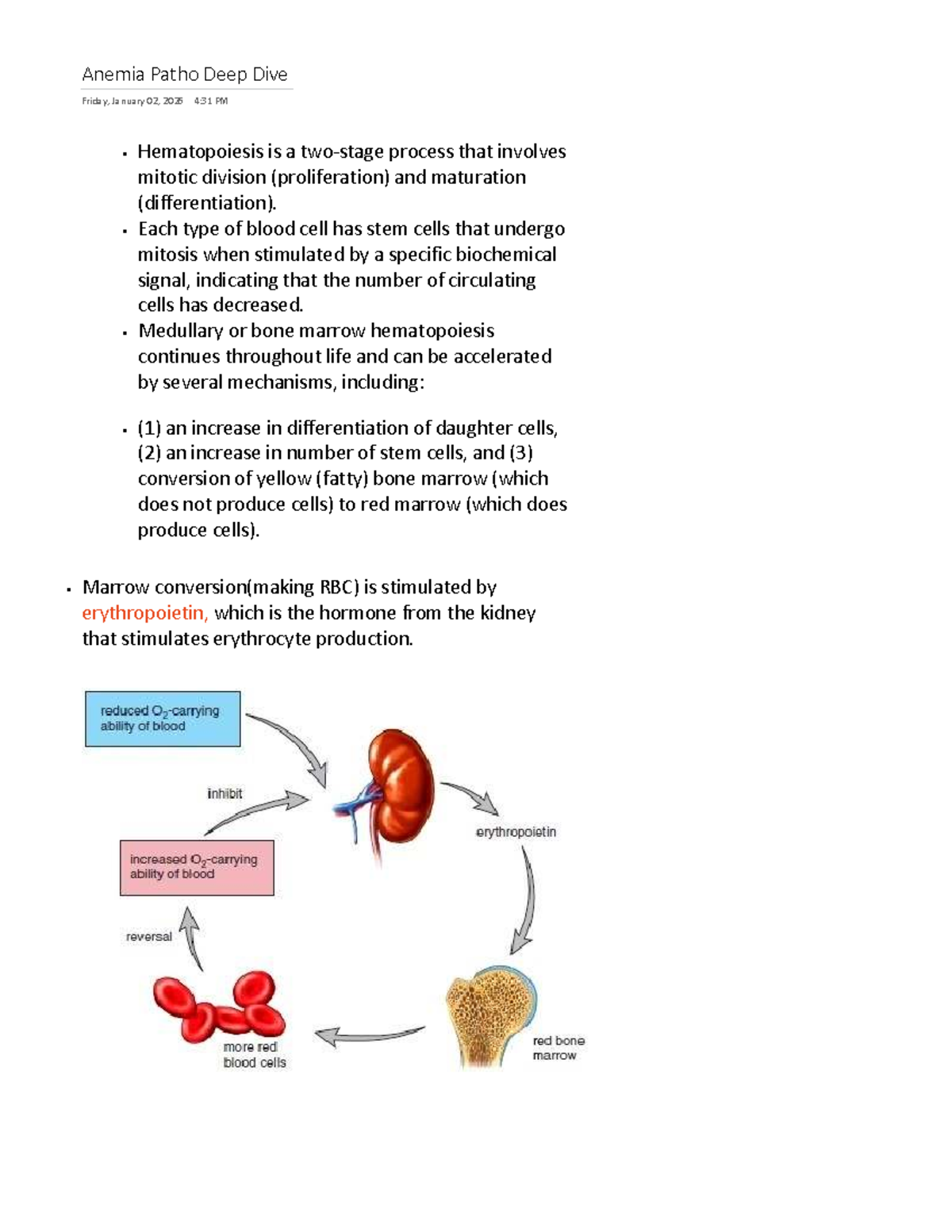 Anemia Pathophysiology Overview - NSG 3800 & 3850 Lecture Notes - Studocu