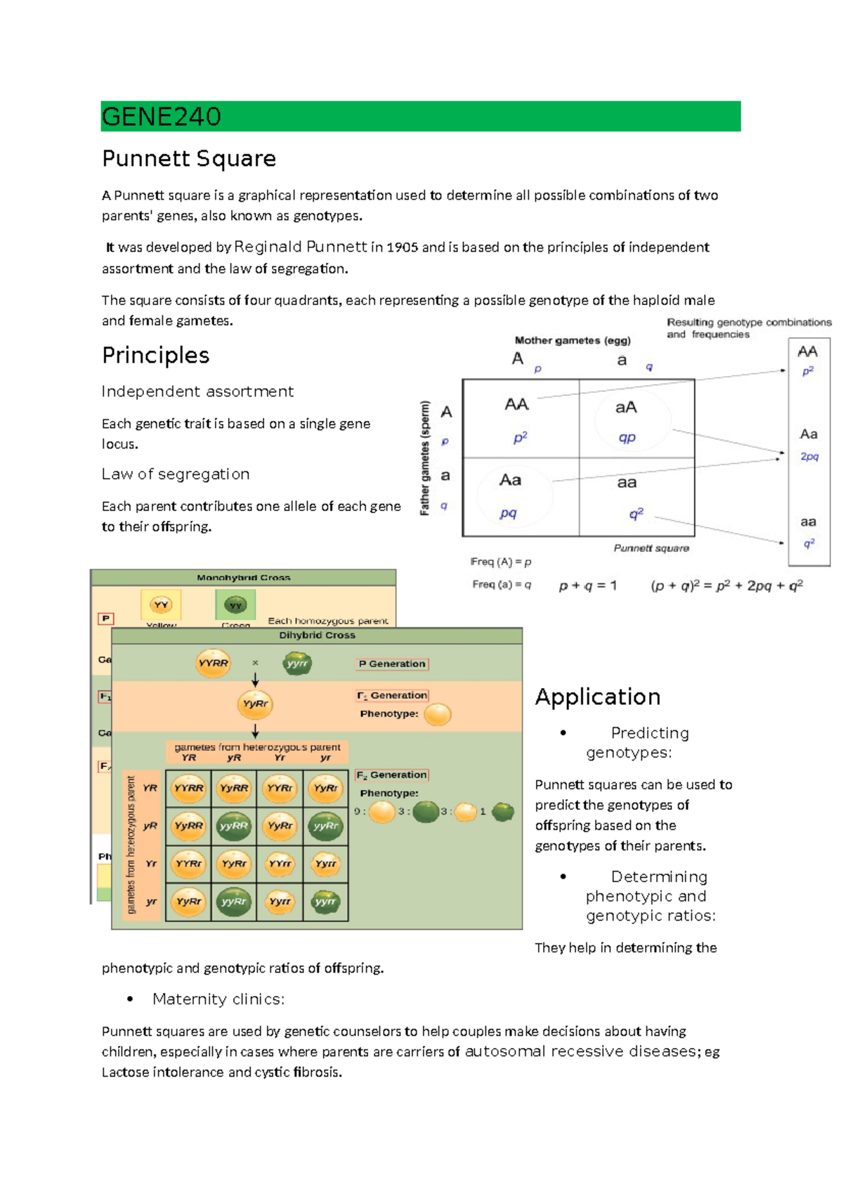 GENE240 Punnett Square and Test Cross Applications in Genetics - Studocu
