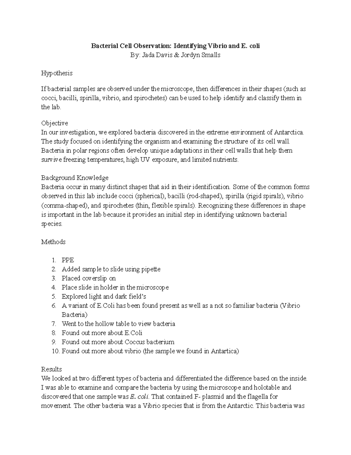 Bacterial Cell Observation Lab Report: Identifying Vibrio & E. coli ...