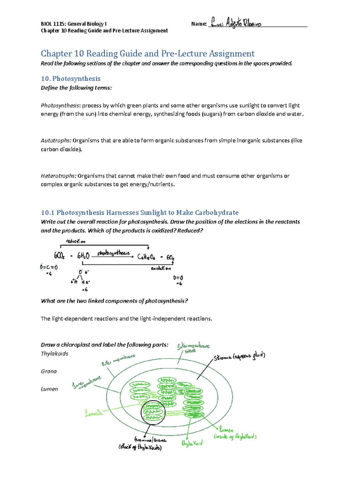 BIOL General Biology I Chapter 10 Photosynthesis Study Guide - Studocu