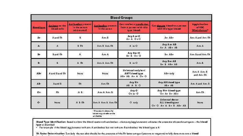 Blood Groups Chart: Antigens, Antibodies, and Transfusion Info - Studocu