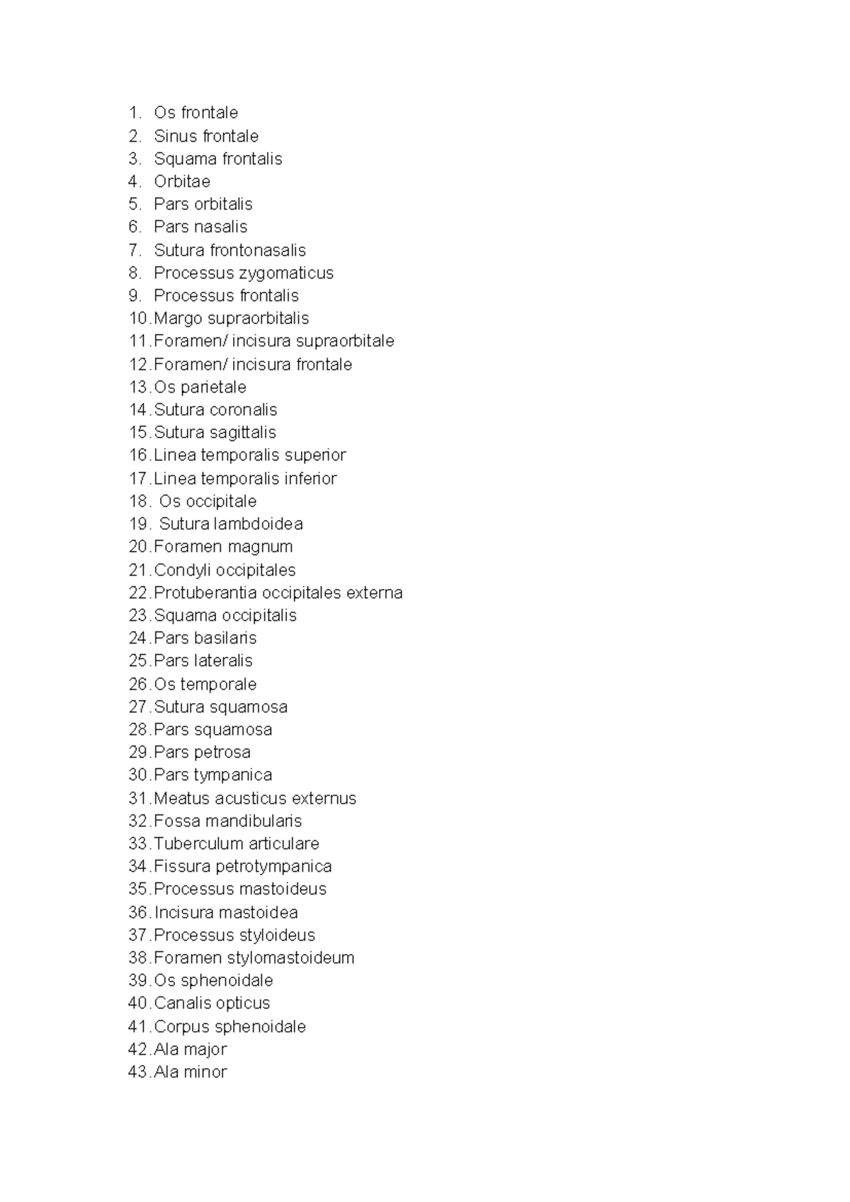 Anatomie overzicht alle structuren - Os frontale Sinus frontale Squama ...