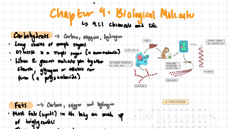 Biology IGCSE CH4: Biological Molecules Overview and Tests - Studocu