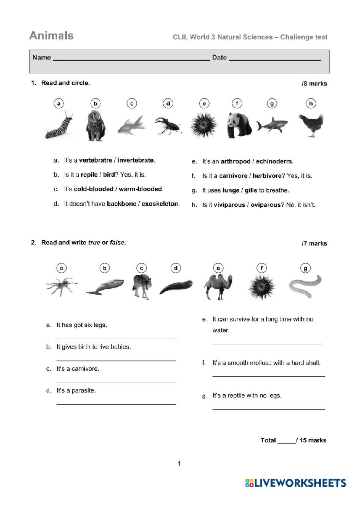 Animals CLIL World 3 Natural Sciences Challenge Test Worksheet - Studocu