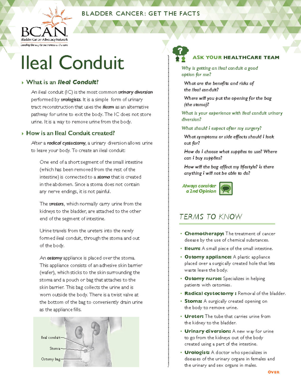 BL ADDER CANCER: ILEAL CONDUIT OVERVIEW & FAQs - Studocu
