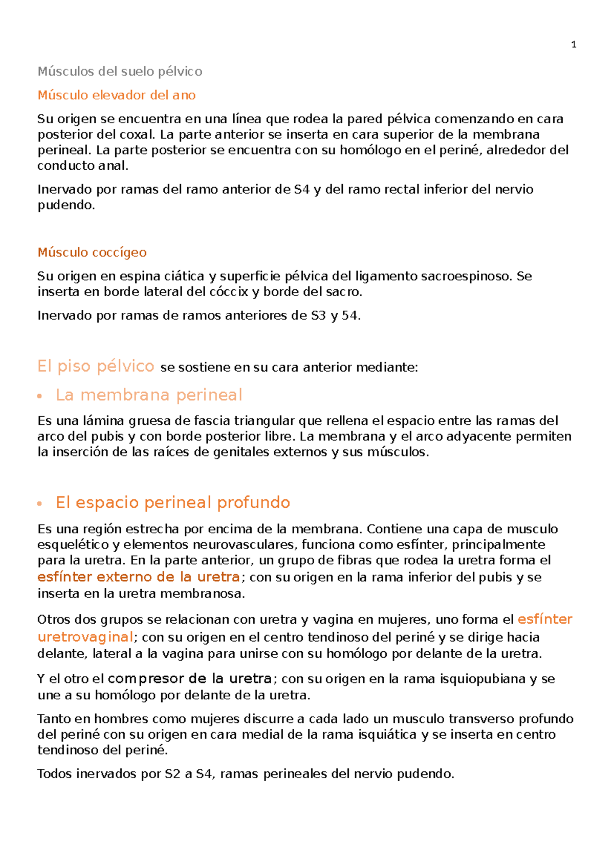 Músculos del suelo pélvico - 1 Músculos del suelo pélvico Músculo ...