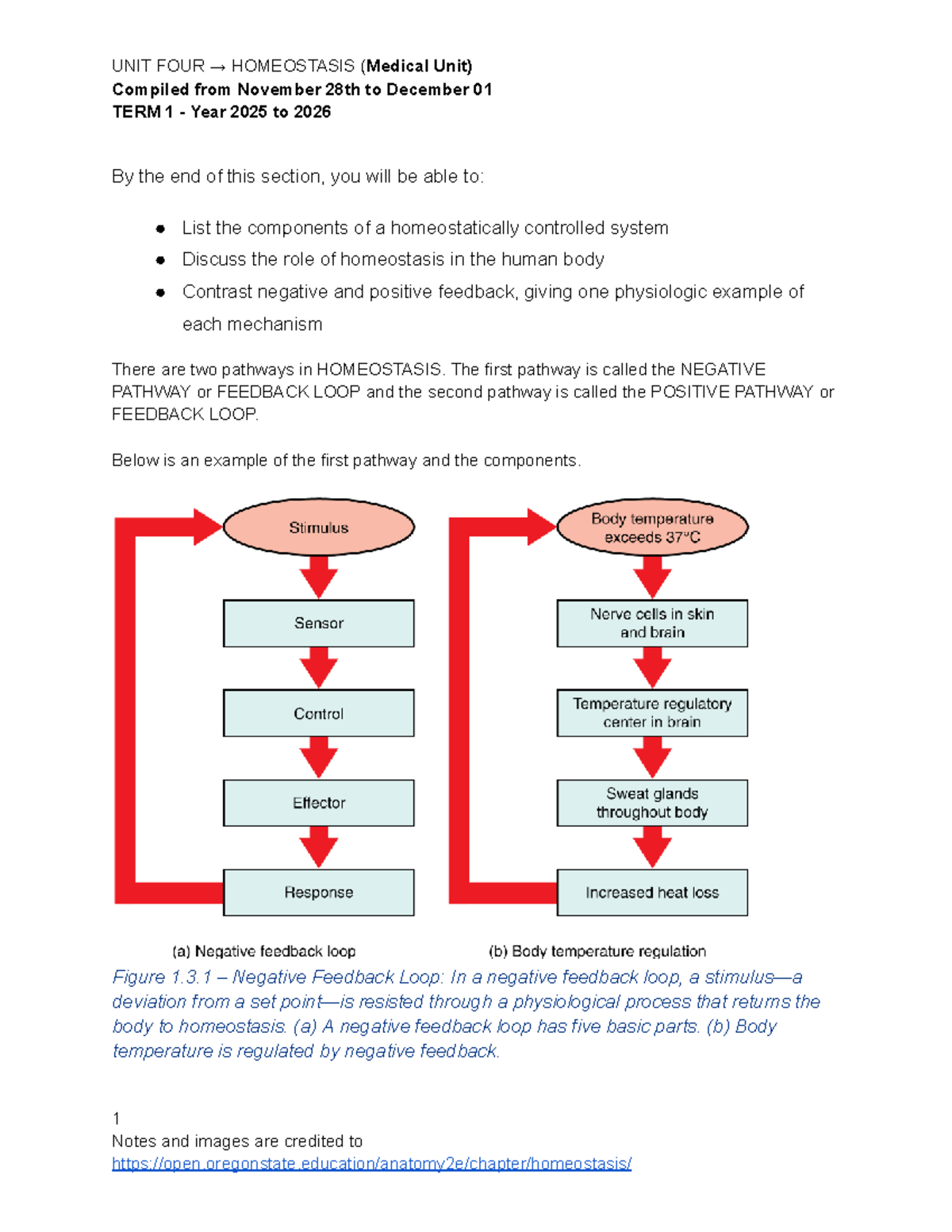 UNIT FOUR HOMEOSTASIS (Medical Unit) Student Notes for TERM 1 2025-2026 ...