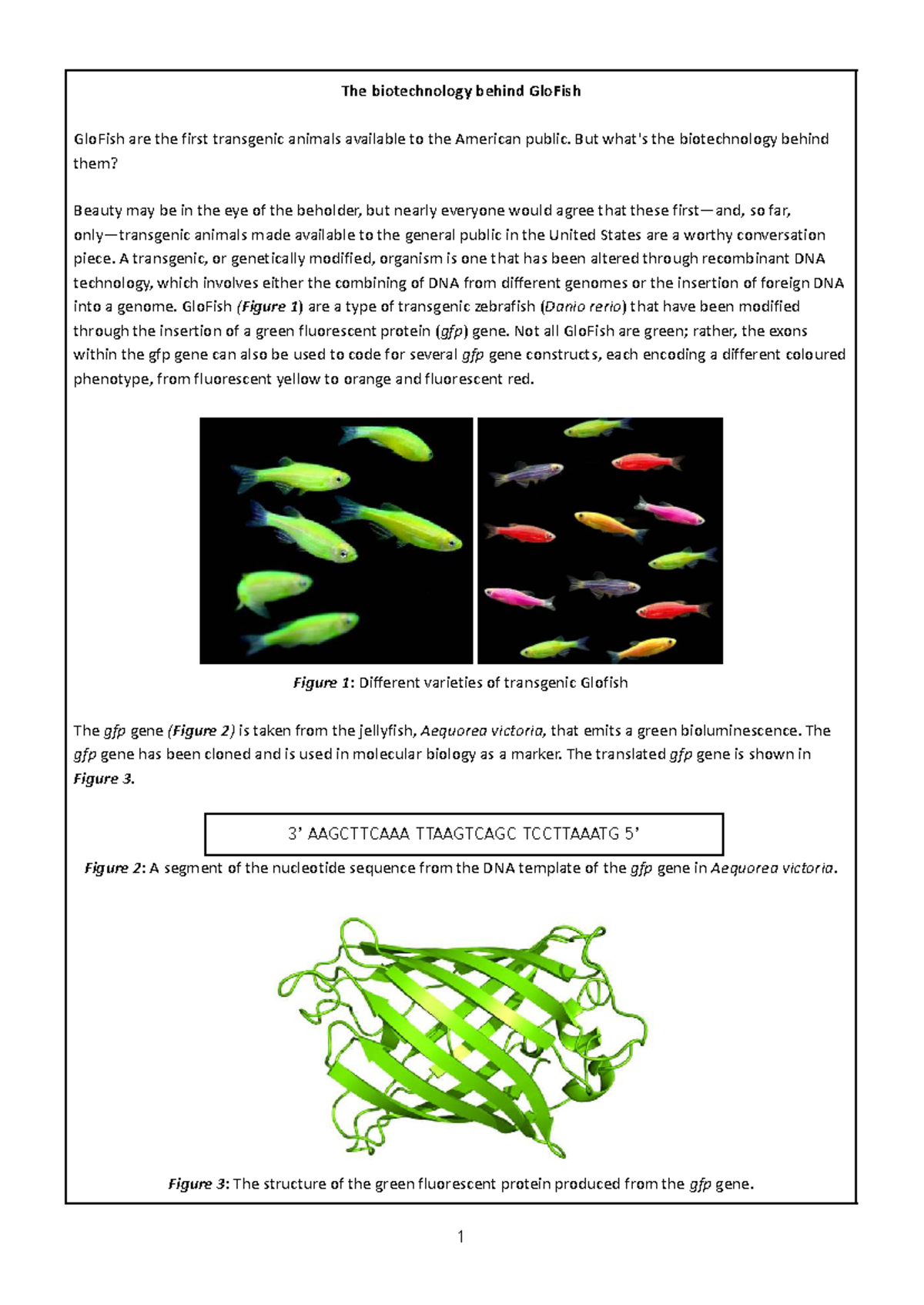 2025 U3 VCE Bio SAC 1: The Biotechnology of GloFish - Studocu