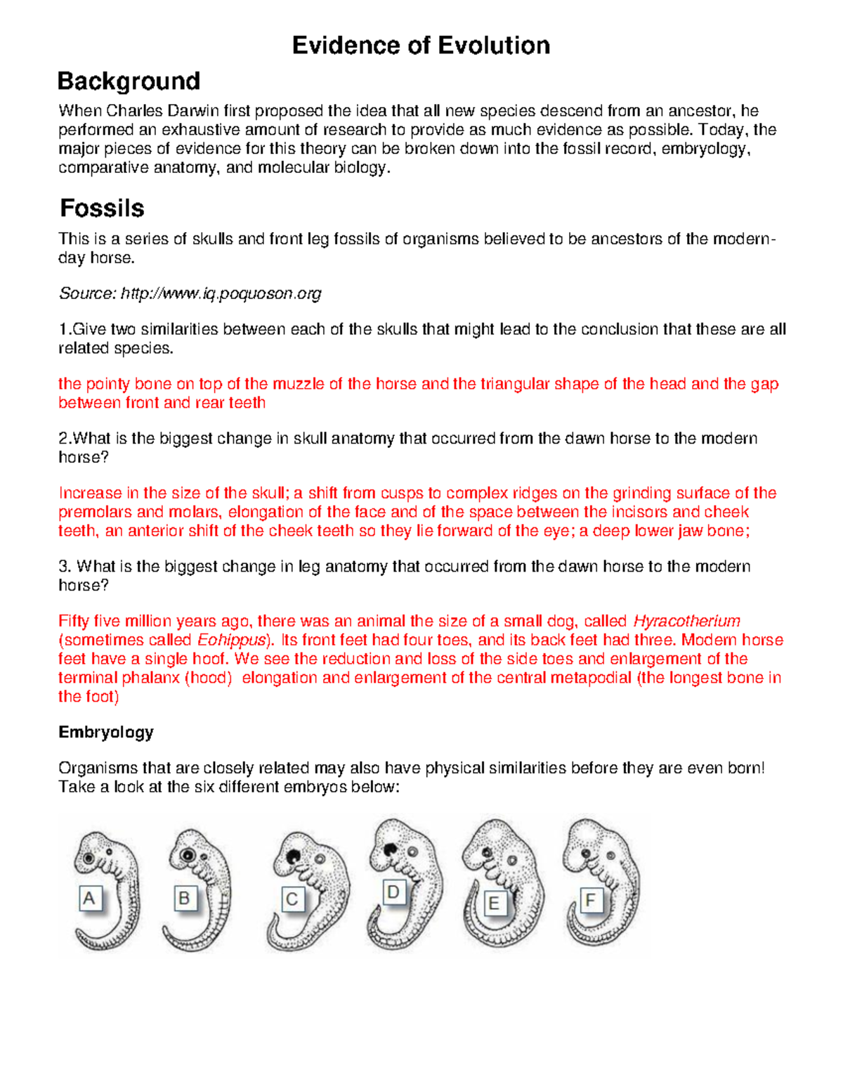 Evolutionary Evidence: Fossils, Embryology, Anatomy & Molecular Biology ...