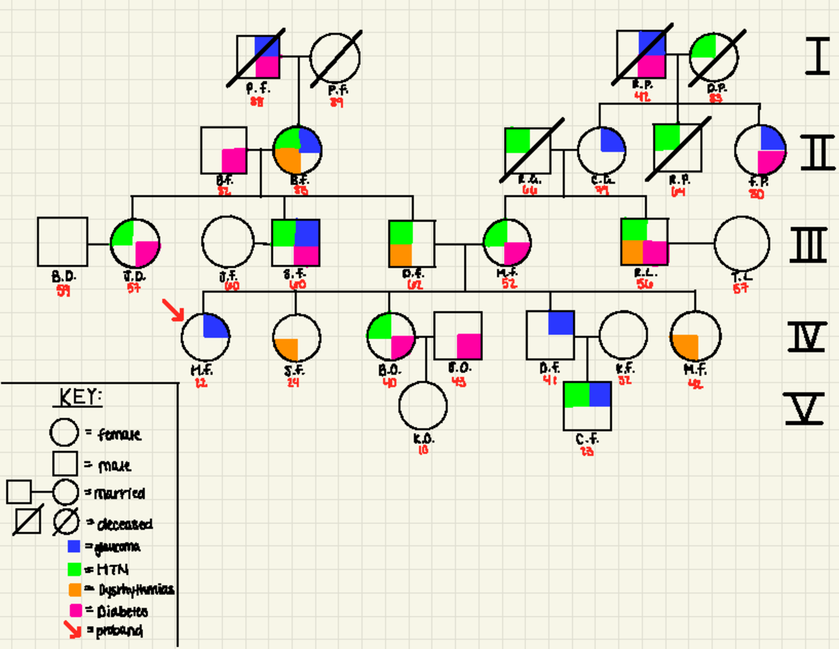 Assignment #1: Key Insights on Genetic Pedigree Analysis - Studocu