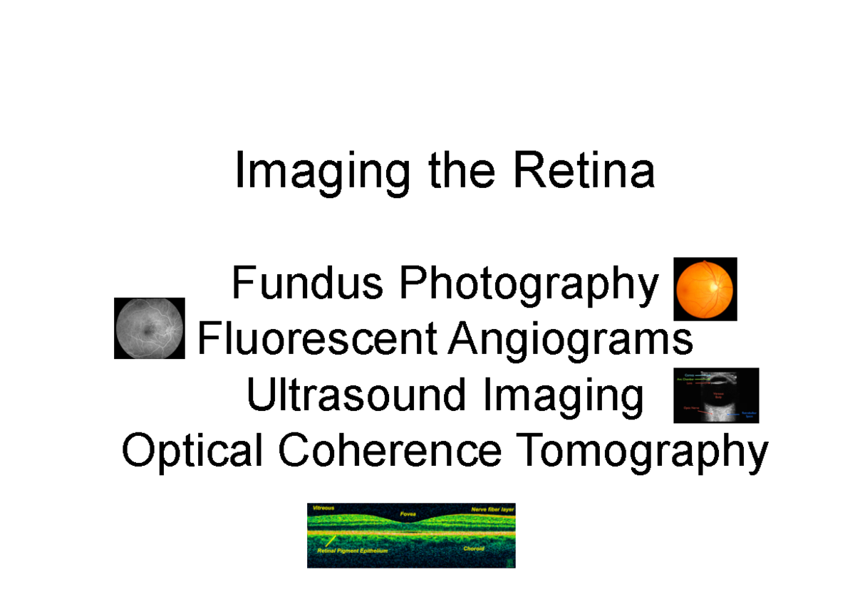 Ophthalmic Anatomy and Physiology- Retinal Imaging Lecture Notes ...