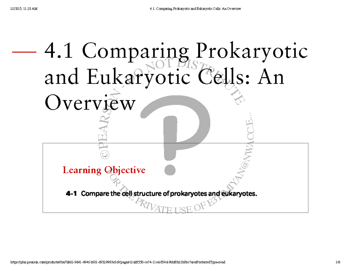 Comparing Prokaryotic and Eukaryotic Cells: Key Differences and ...