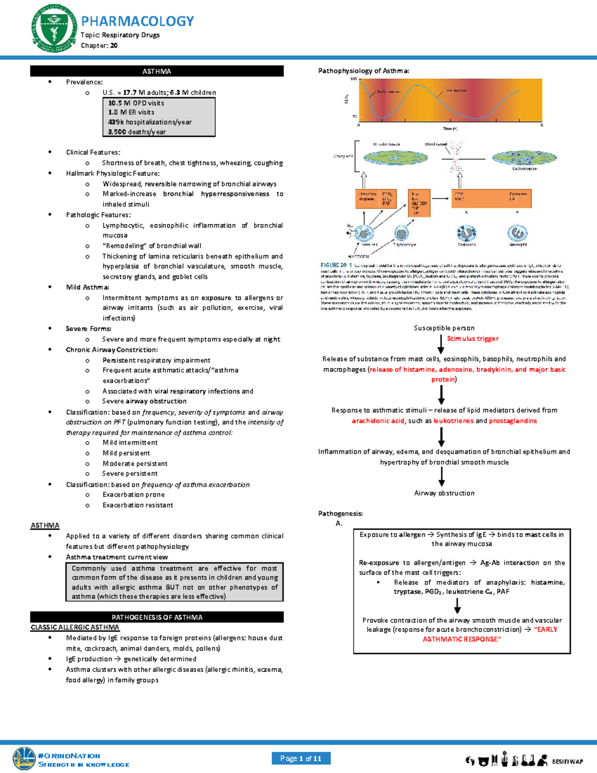 PHARMACOLOGY 1.2: Respiratory Drugs - Asthma Pathophysiology and ...
