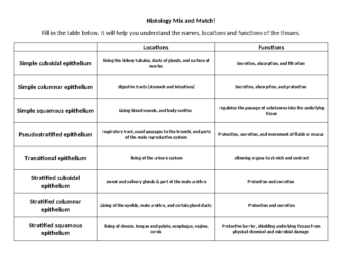 Histology Review: Tissue Types, Locations & Functions - Studocu
