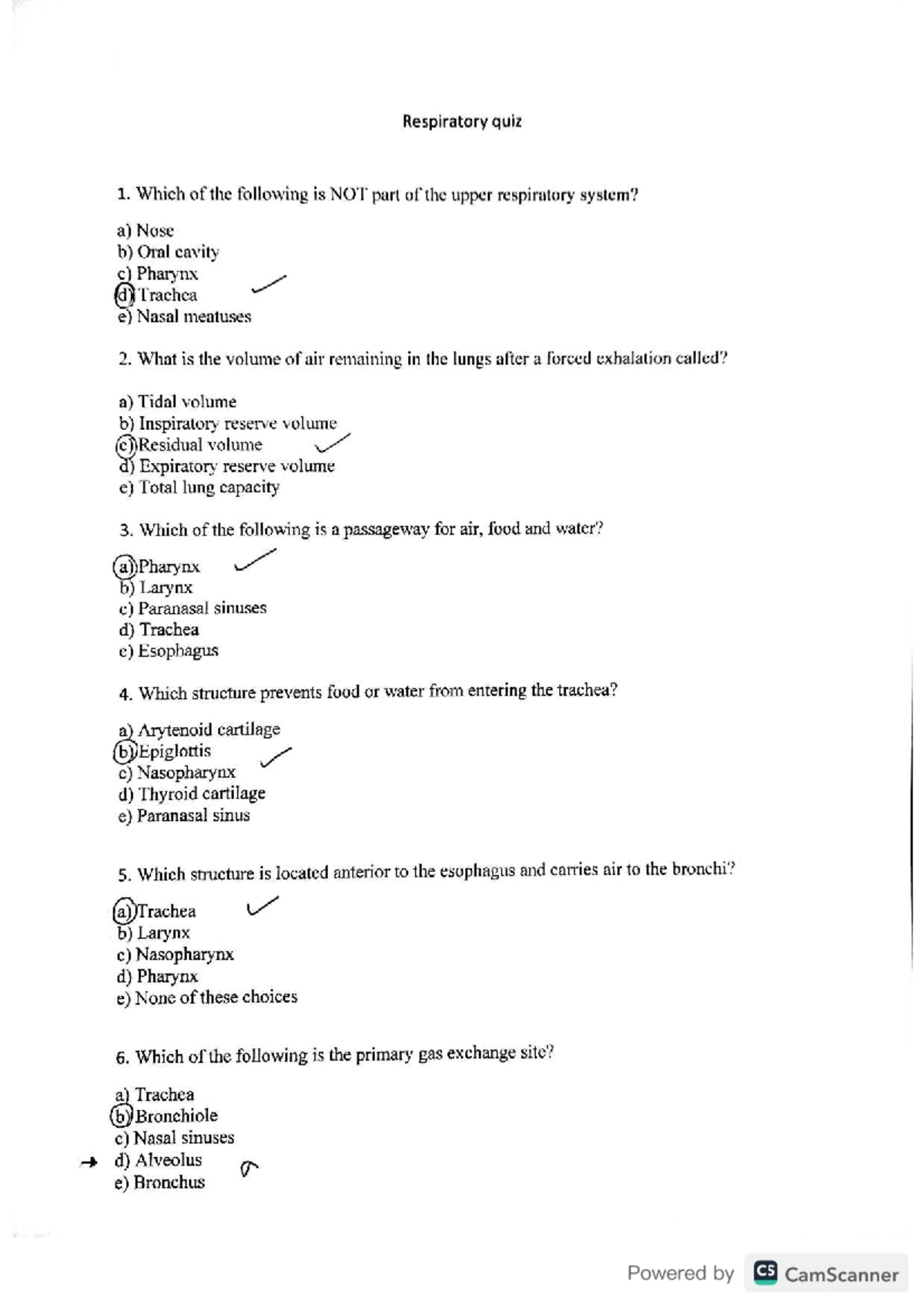 Anatomy BWVV1X0 - Respiratory Quiz 1 Questions and Answers - Studocu