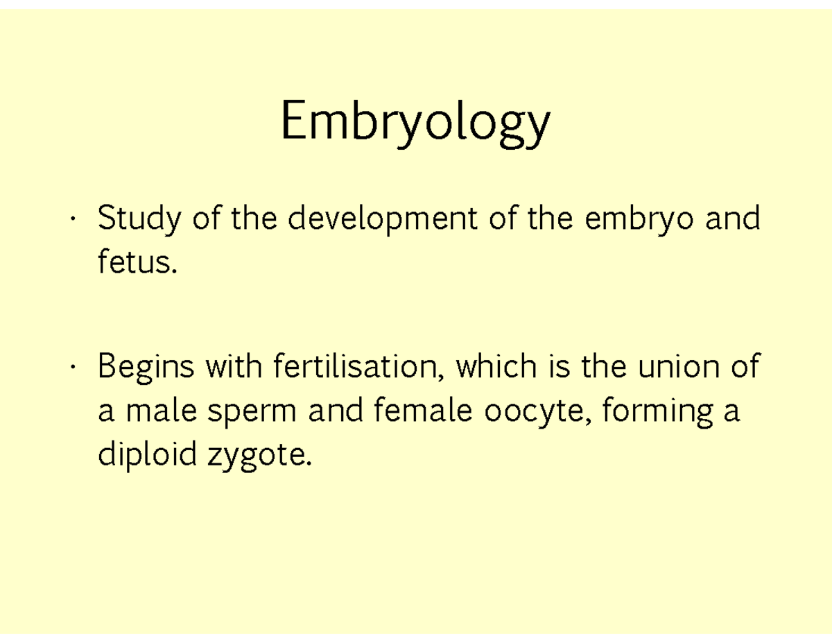 Embryology Study: Superficial Muscles & Cranial Nerves V & VII Overview ...