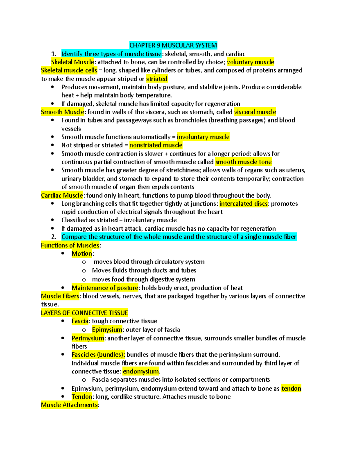 Chapter 9 Muscular System - CHAPTER 9 MUSCULAR SYSTEM Identify three ...