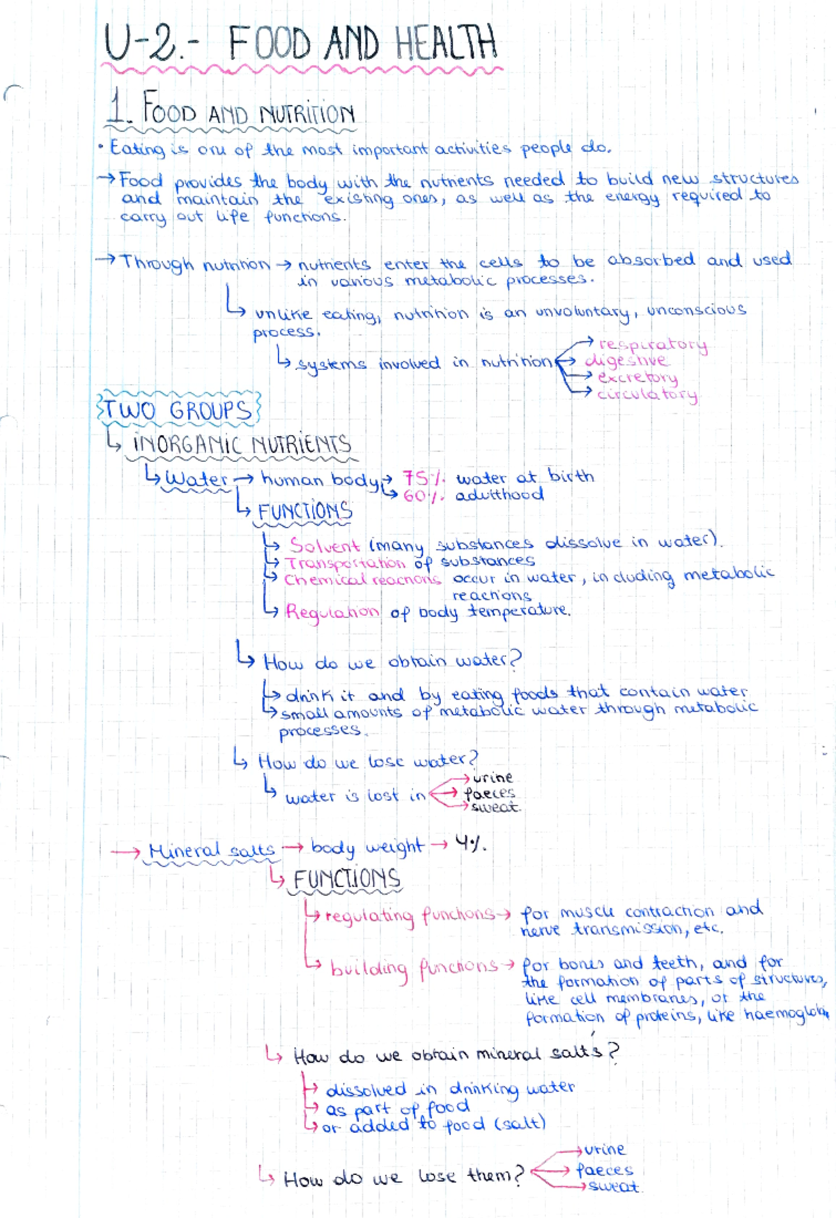U2-3.- Digestive and Respiratory system - FOOD AND HEALTH 1. FOOD AND ...