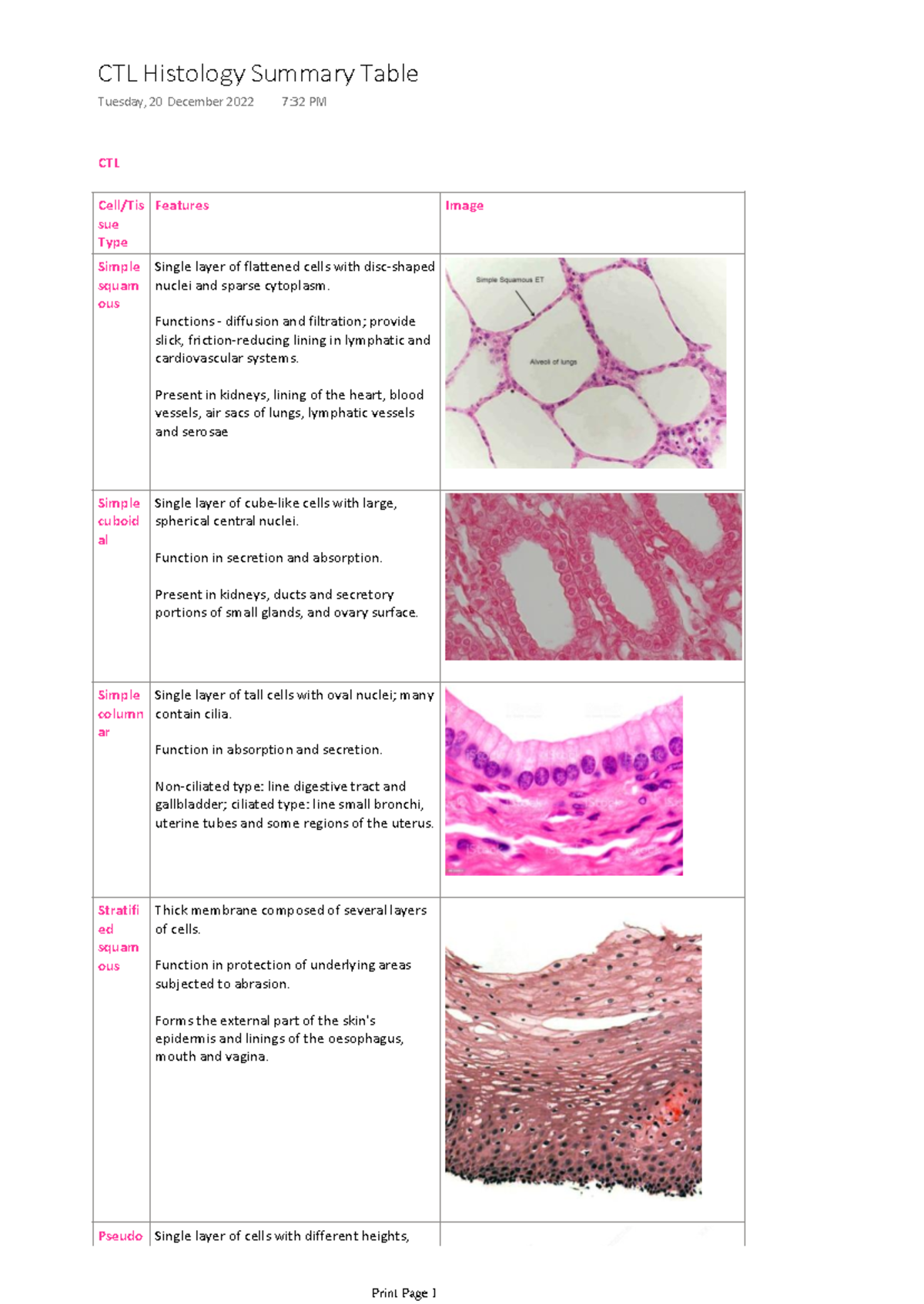 CTL Histology Summary Table - CTL Cell/Tis sue Type Features Image ...