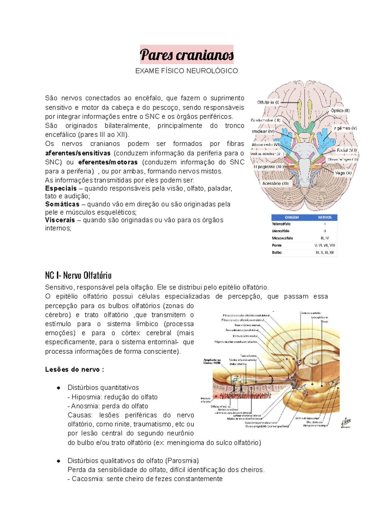 Pares cranianos - Pare cranian EXAME FÍSICO NEUROLÓGICO São nervos ...