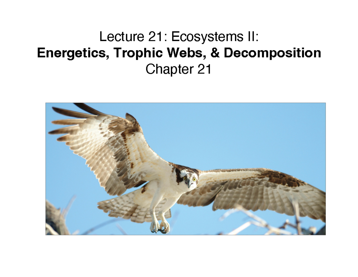 Lecture 21 Ecosystem Energetics 2024 - Lecture 21: Ecosystems II ...
