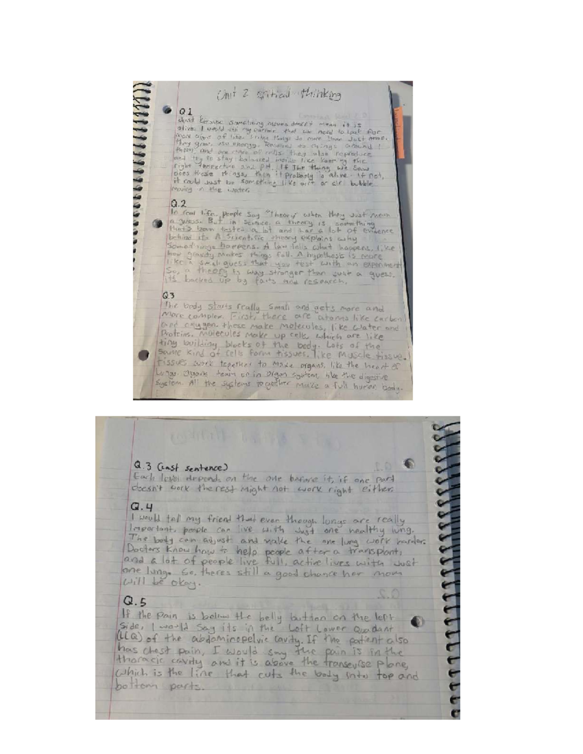 A/P Critical Thinking Questions - Unit 3 Analysis and Insights - Studocu