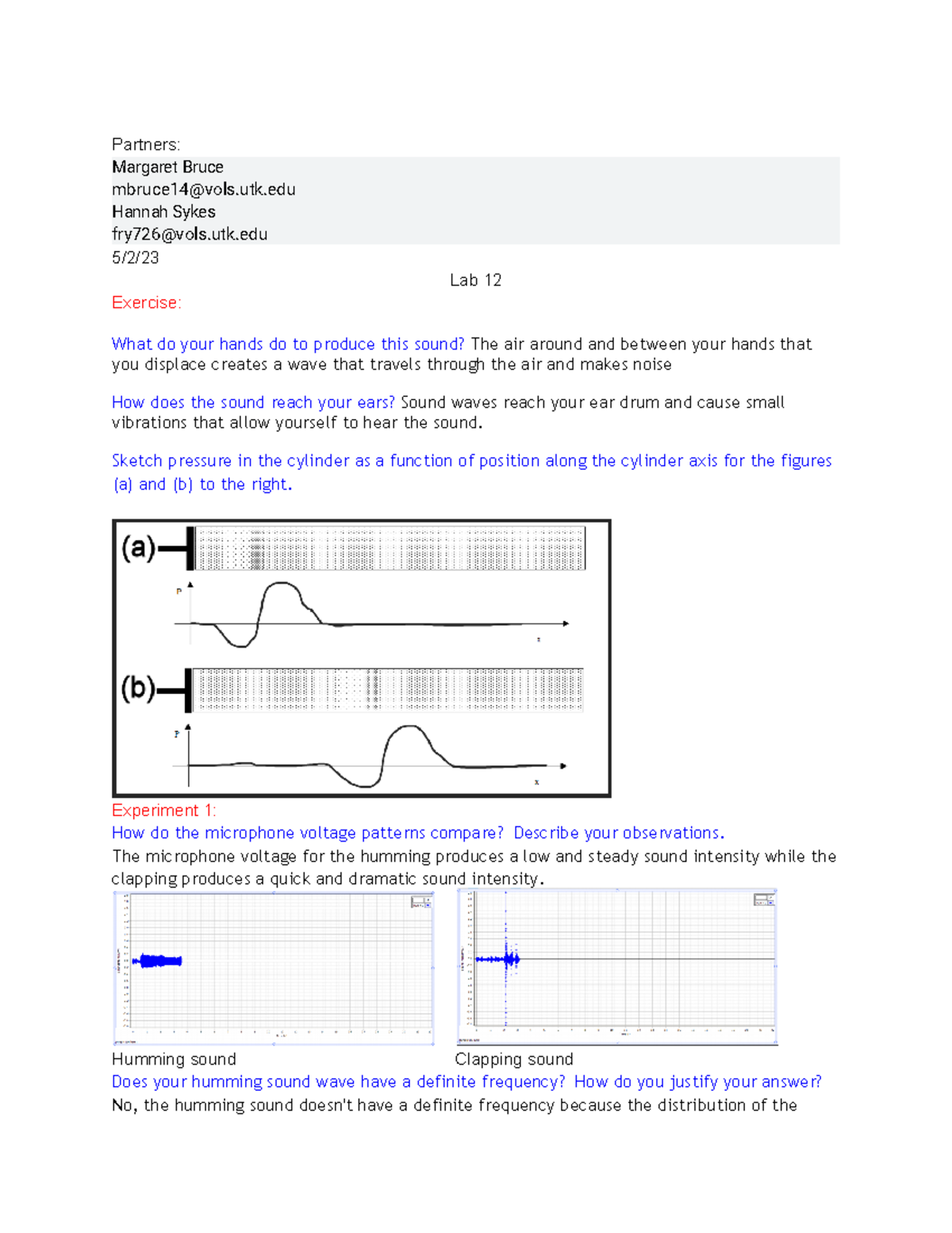 Lab 12 - Investigating Sound Waves and Frequencies in Physics - Studocu