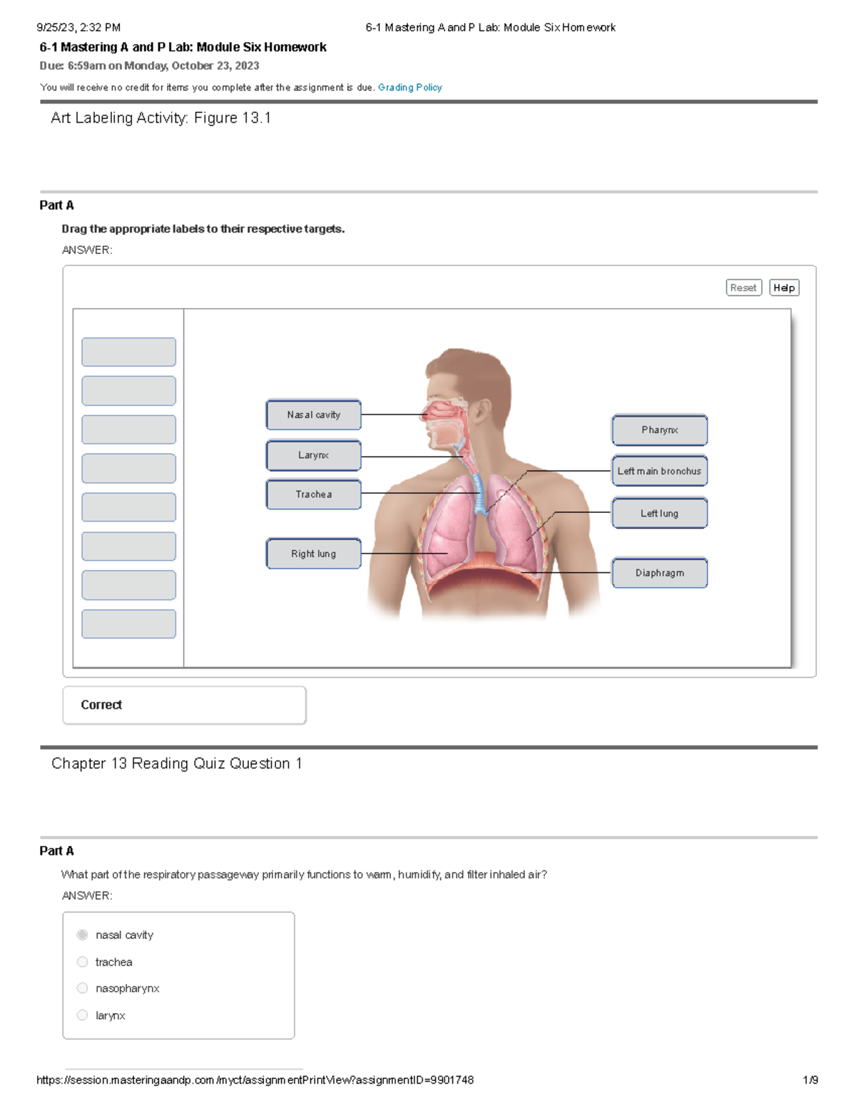 6-1 Mastering A&P Lab: Module 6 Homework and Quiz Answers - Studocu