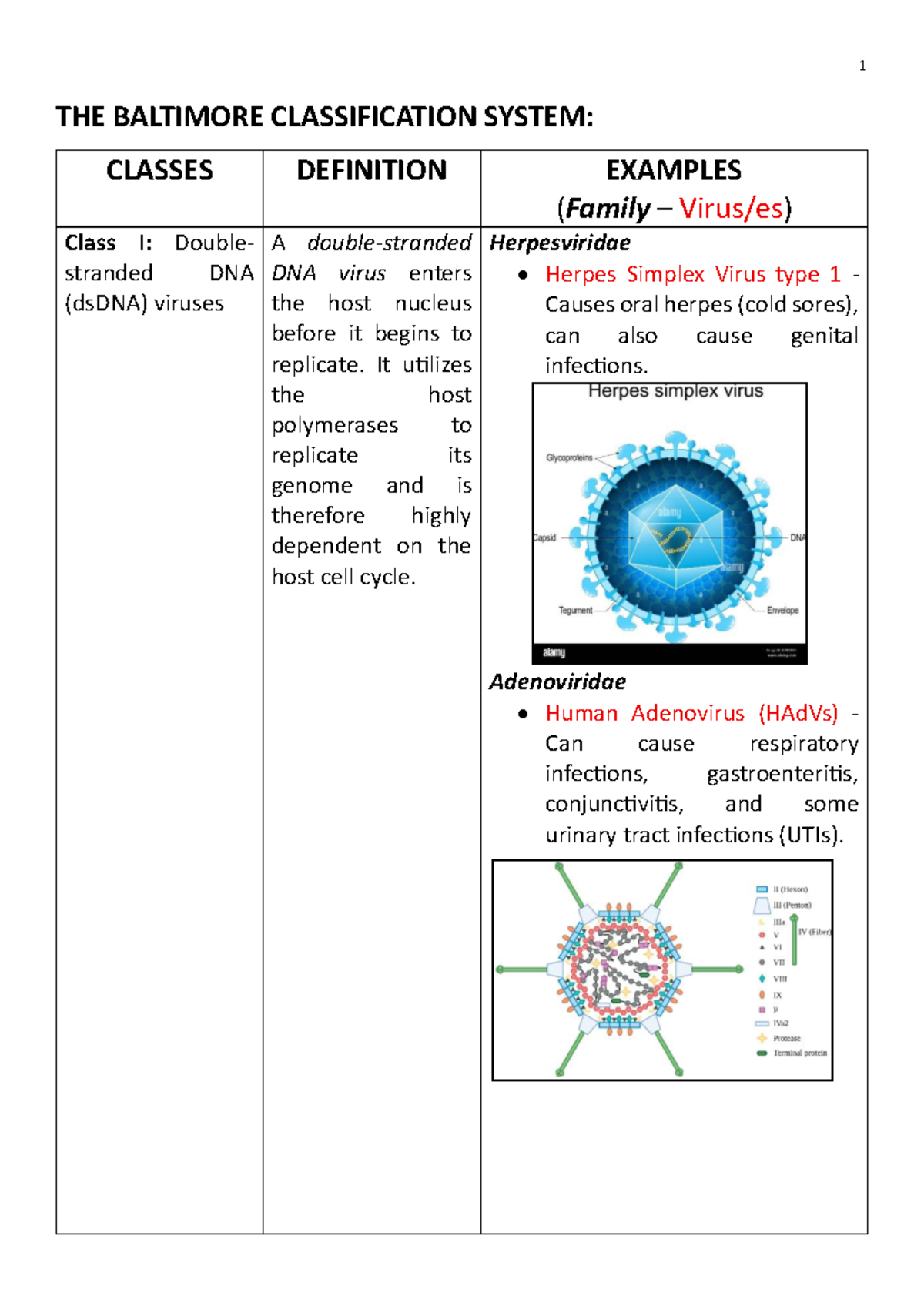 7 Classes of Viruses: Definitions and Examples (Updated) - Studocu