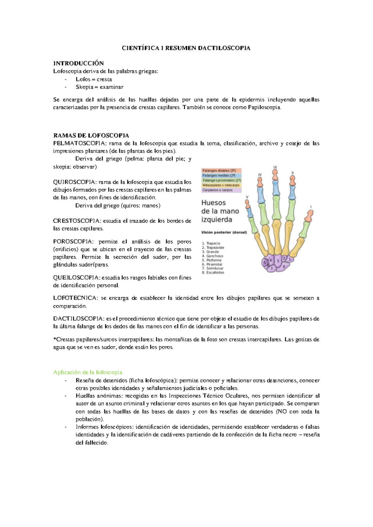 Científica I: Resumen sobre Dactiloscopia y Lofoscopia - Studocu