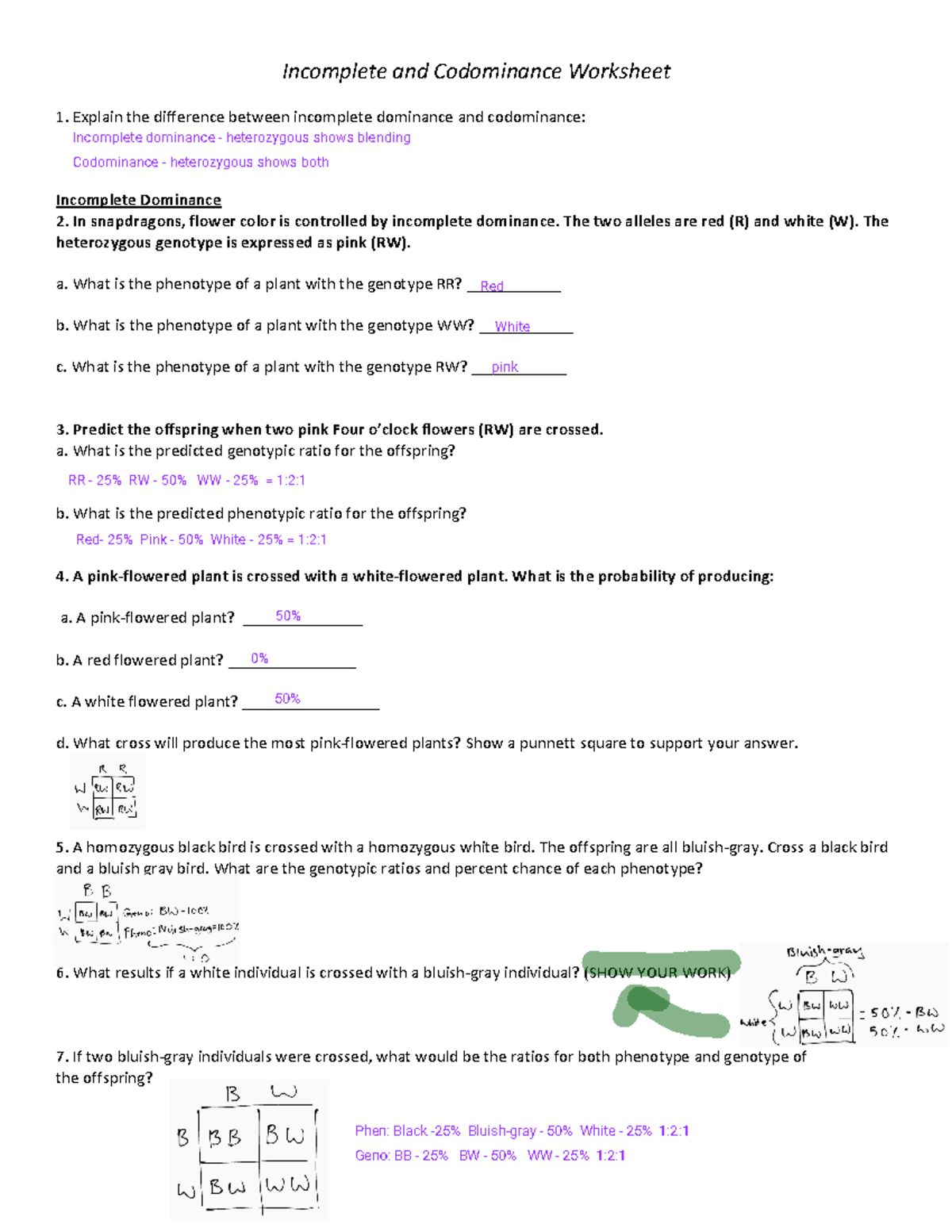 Incomplete Dominance Worksheet